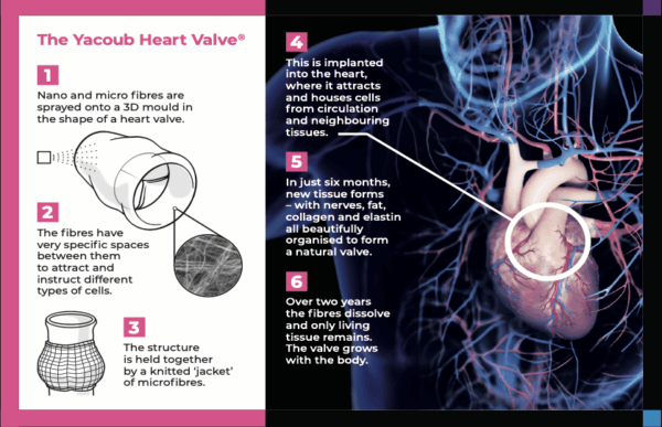 How it works – Heart Biotech Holdings Ltd